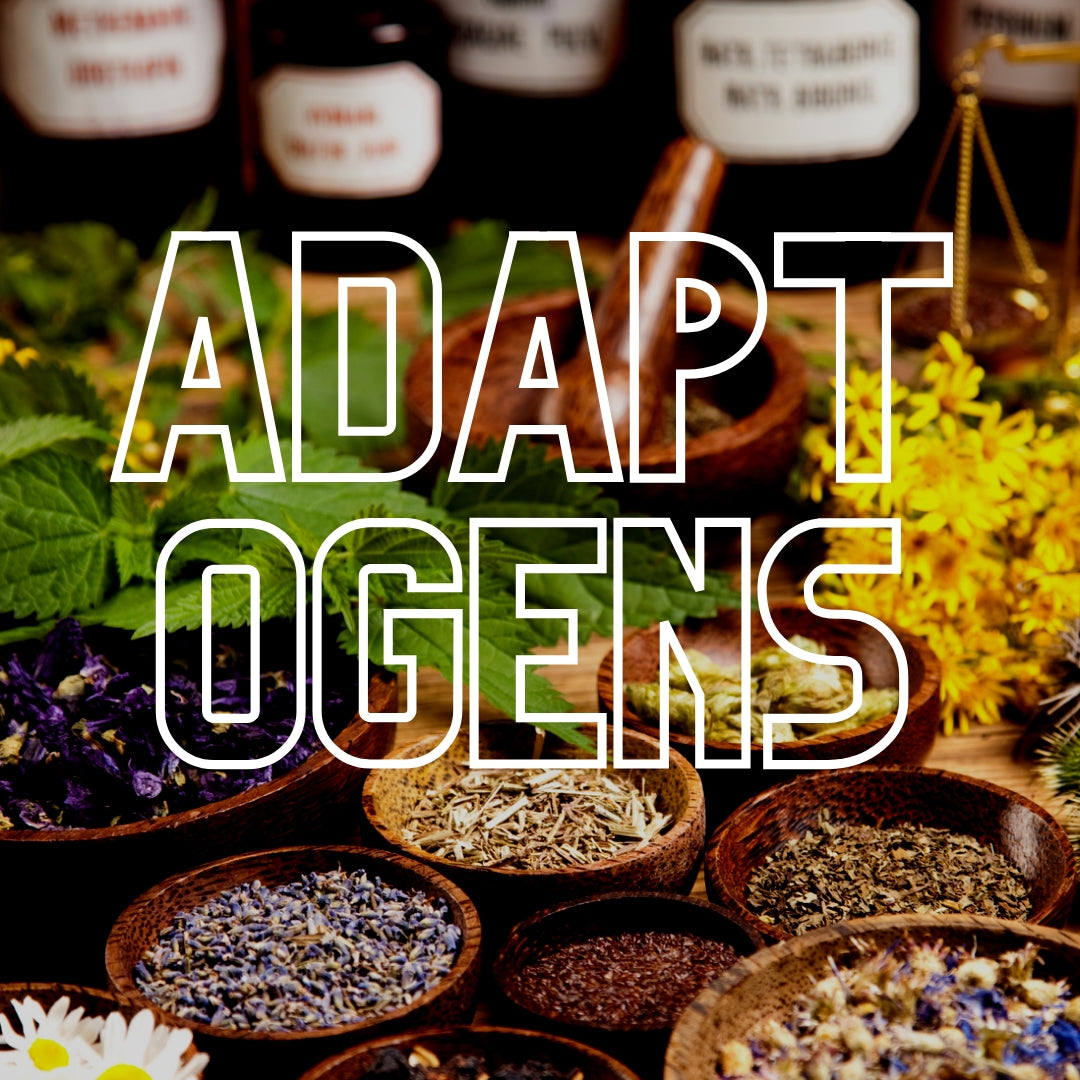 5 Benefits of Supplementing Adaptogens – Well Built Supplements